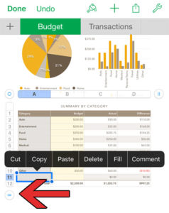 How to Track Your Spending Using the iPhone's Numbers App - My Money Wizard